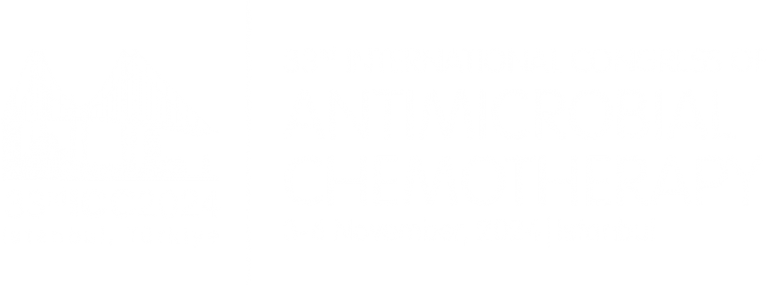 About Istanbul – 33rd International Congress of Antimicrobial Chemotherapy